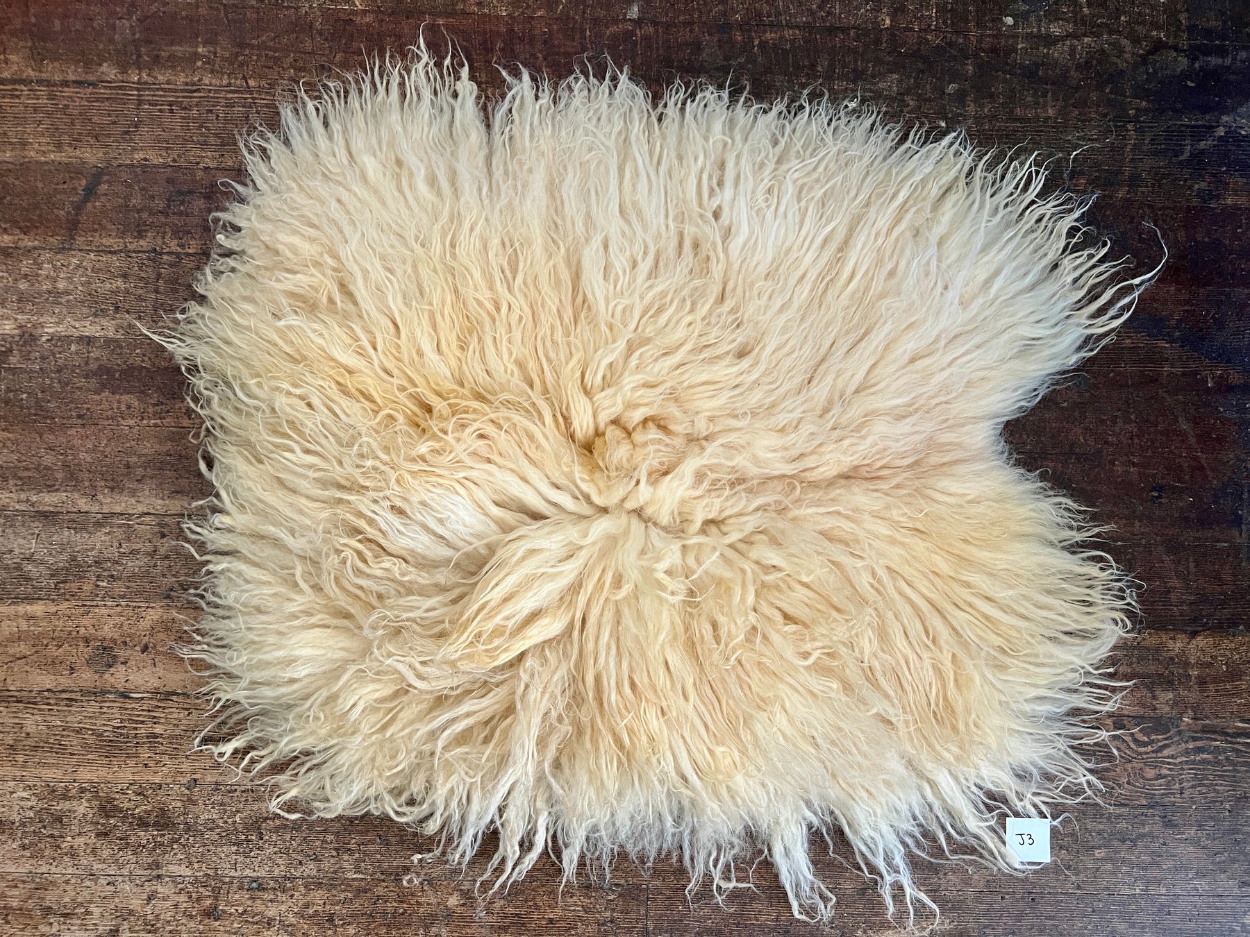 SHEEP PELTS – Five Marys Ranch
